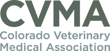 Veterinarian in Highlands Ranch | Empathetic Vet | Animal Hospital